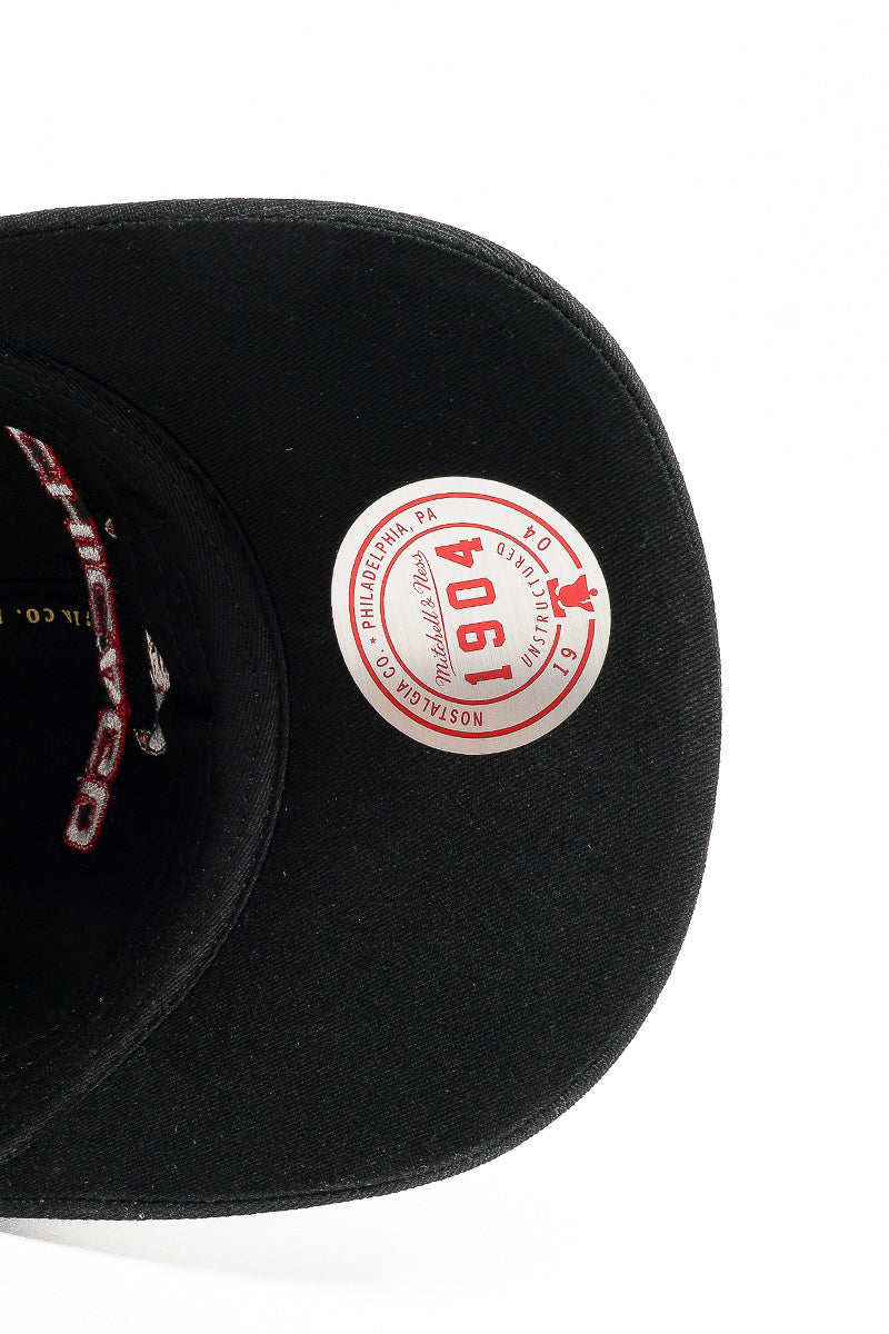 Chicago Bulls Circuit Dad Cap – Stateside Sports